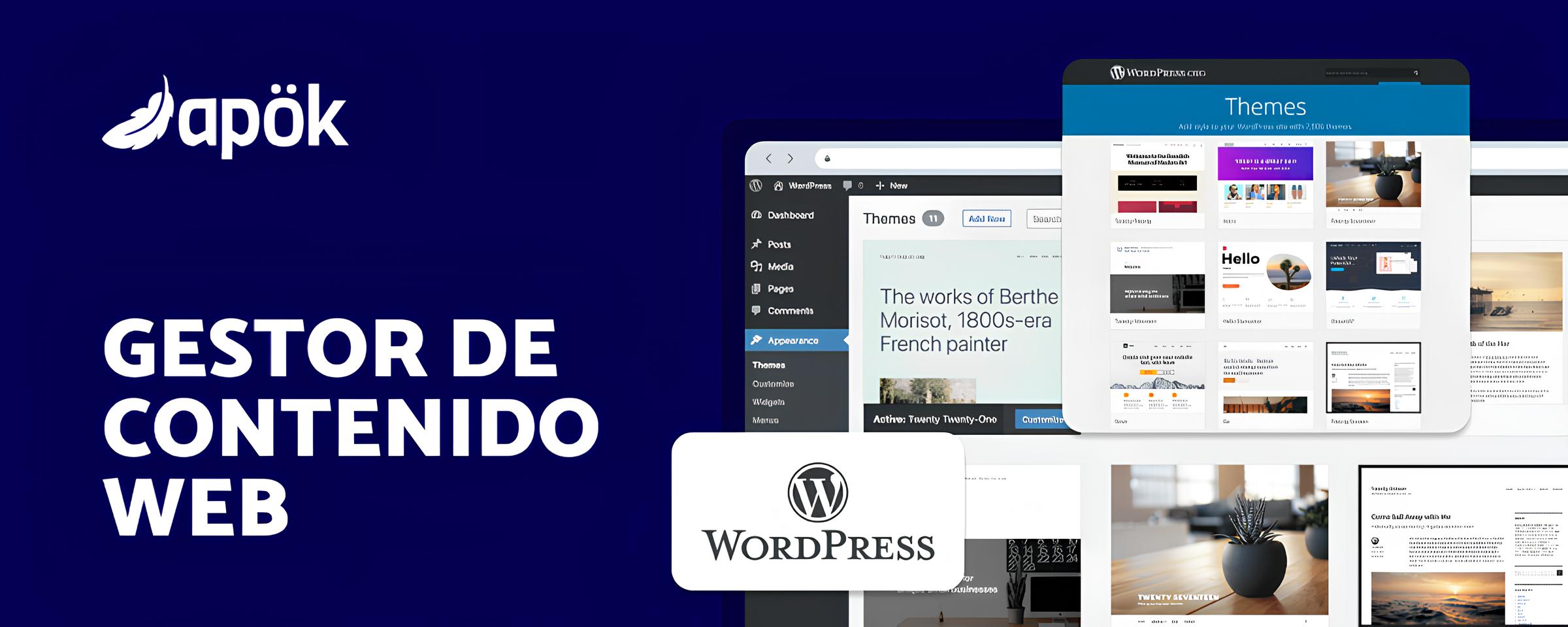 Gestor de contenidos web | Qué son | Su función | Tipos | Ejemplos - Apok Blog